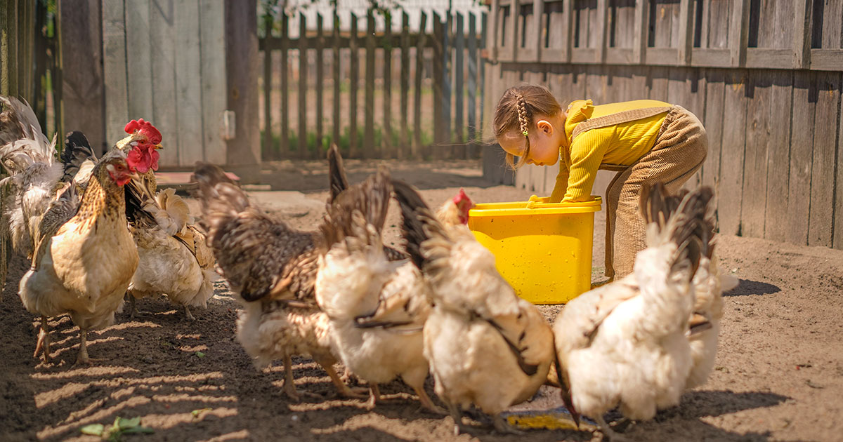Bird flu and children - Children's National